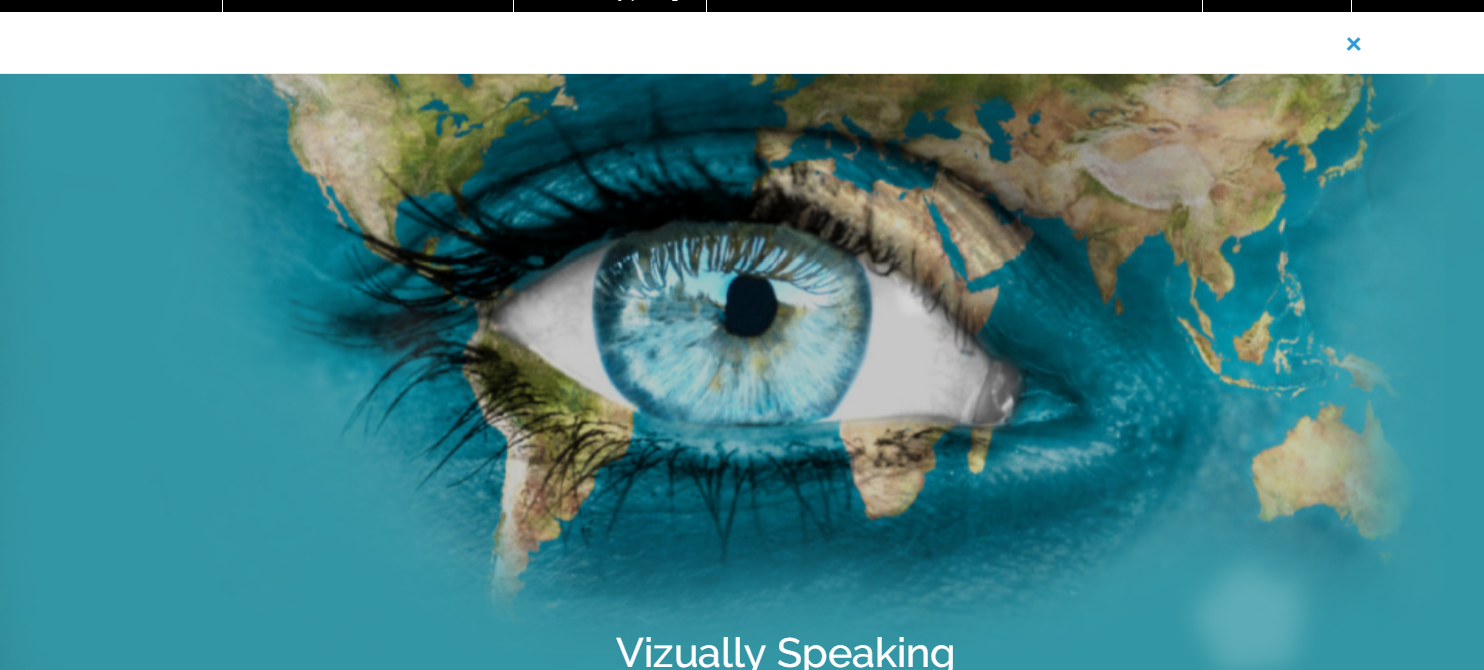 Visual Aids - Training - Designing - Creating - vizuallyspeaking.com
